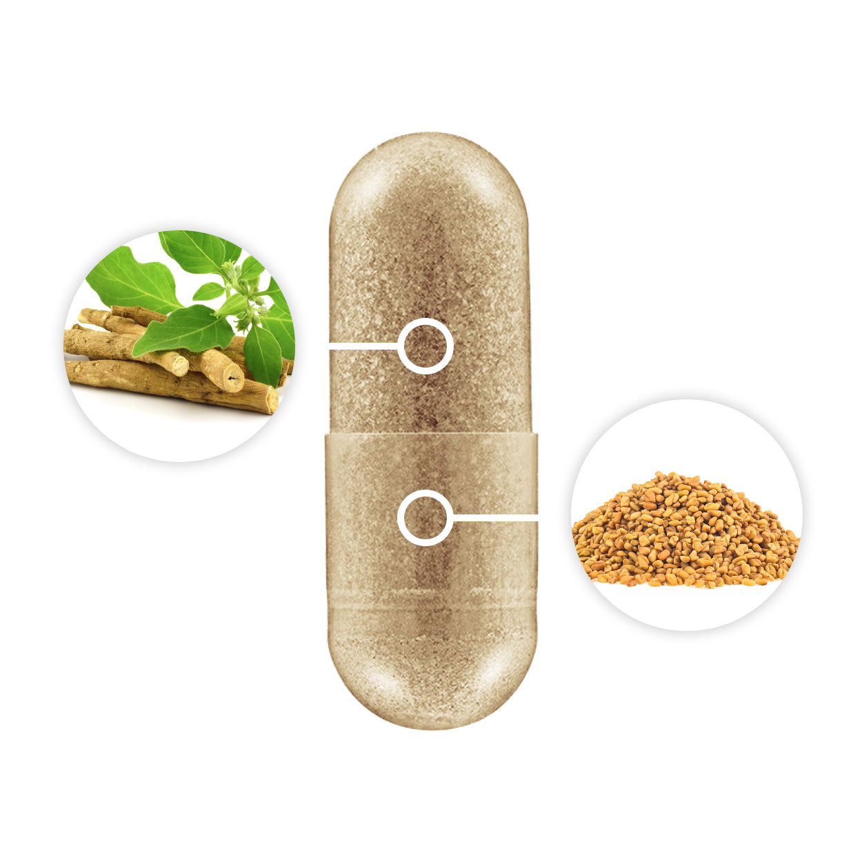 M Drive Elite – Testosterone Support with Ashwagandha, Increase VO2 Max ...