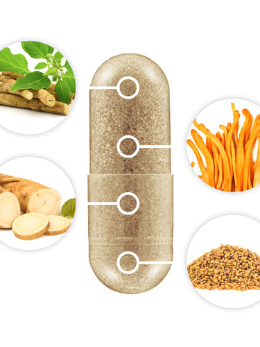 Mdrive Elite | Boost Endurance & VO2 Max | Mdrive Supplements