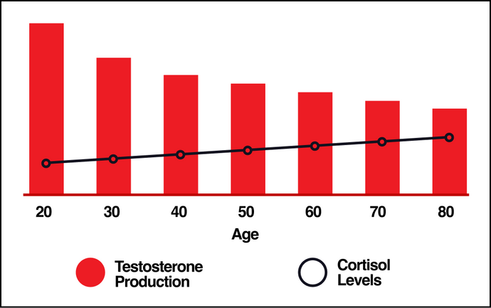 Mdrive Testosterone Supplements | Our Story | Healthy Support